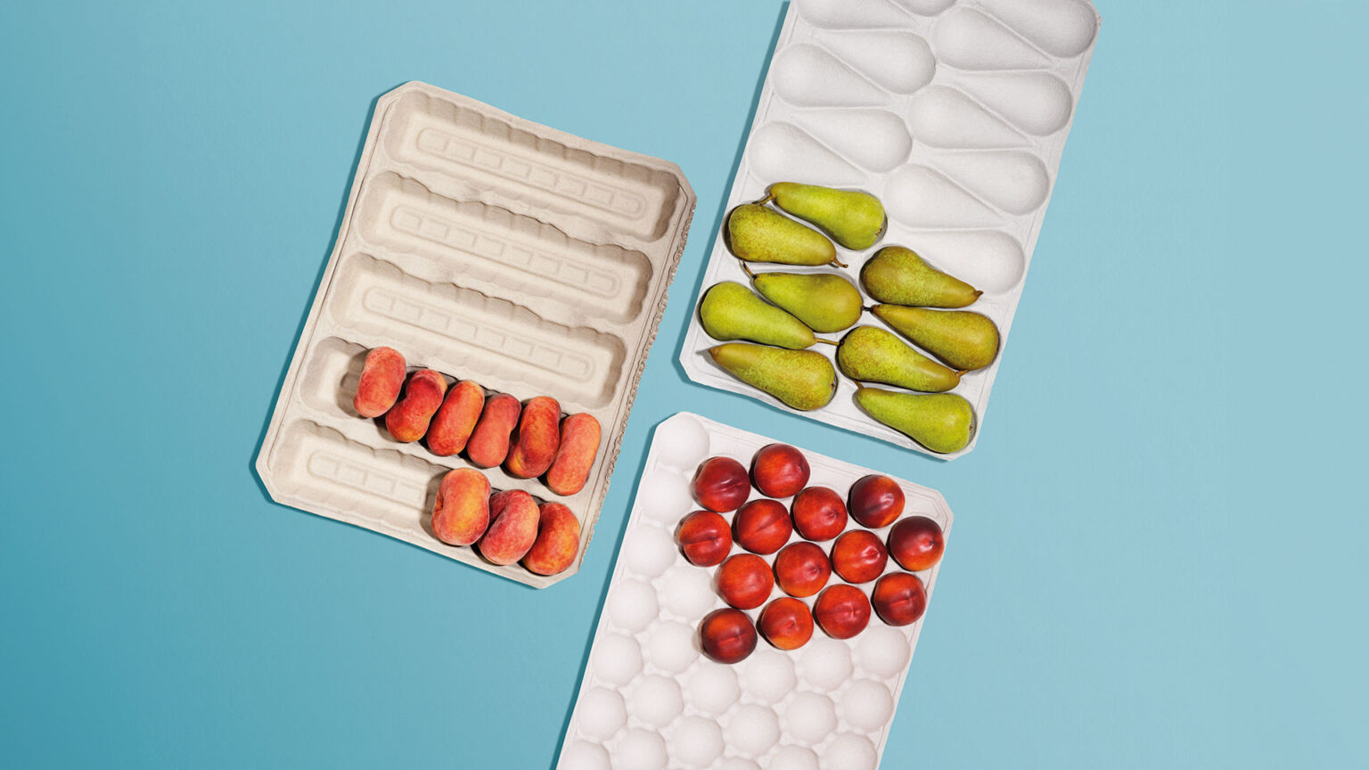 Pulp Packaging - Packaging Innovation